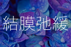 手術 (白内障、翼状片、眼瞼下垂、眼瞼内反、結膜弛緩症)【アジサイ眼科】千葉県成田市